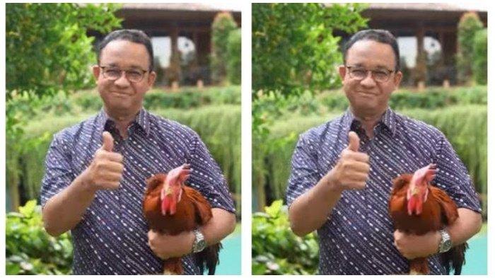 Becandaan Anies Baswedan Usai Lengser dari Gubernur DKI Jakarta, Adu ... Becandaan Anies Baswedan Usai Lengser dari Gubernur DKI Jakarta, Adu ...