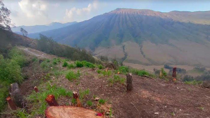 Menilik Pro Kontra Proyek Pembangunan Jembatan Kaca di Kawasan Taman ... Menilik Pro Kontra Proyek Pembangunan Jembatan Kaca di Kawasan Taman ...